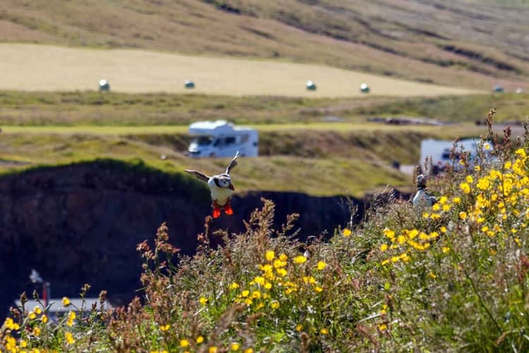 Iceland’s F-Road F35: Full Guide to Kjolur Route